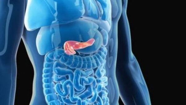 tripsinógeno - Homo medicus