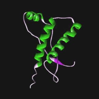 ¿Qué son los priones? – Homo medicus
