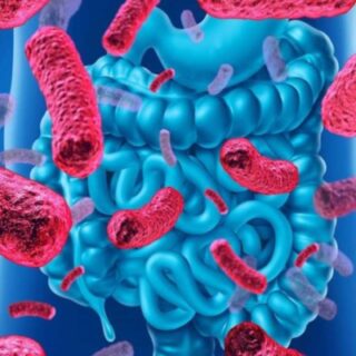 Prevención y tratamiento de infecciones en pacientes ...