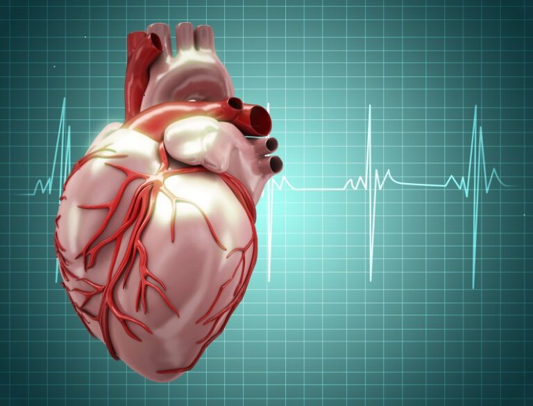 ¿Qué es el automatismo de las células cardiacas? – Homo medicus
