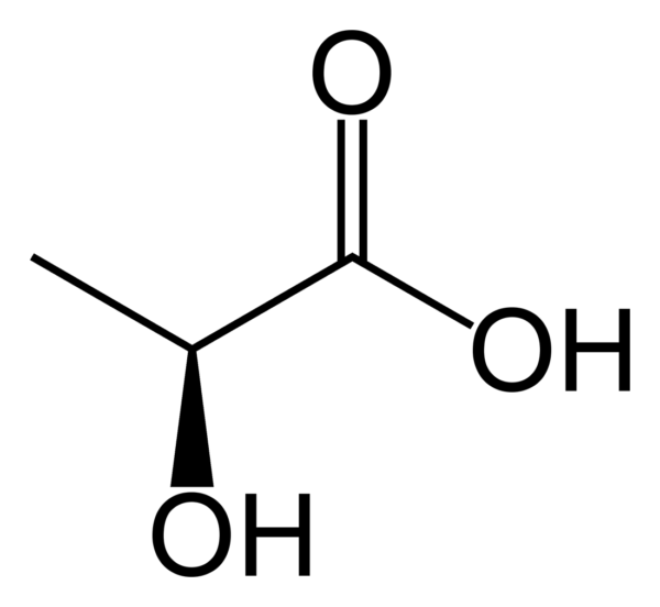 ¿Qué es la acidosis láctica? - Homo medicus