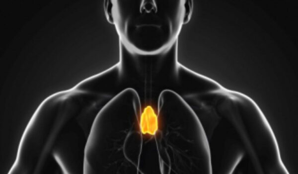 ¿Cuál es la función del timo? – Homo medicus