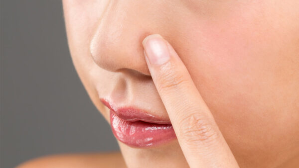 ¿Cuáles son los cartílagos nasales accesorios? – Homo medicus