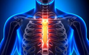 Desarrollo del esternón – Homo medicus