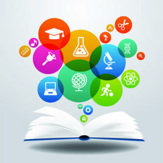 Proceso de medicina basada en evidencias - Homo medicus