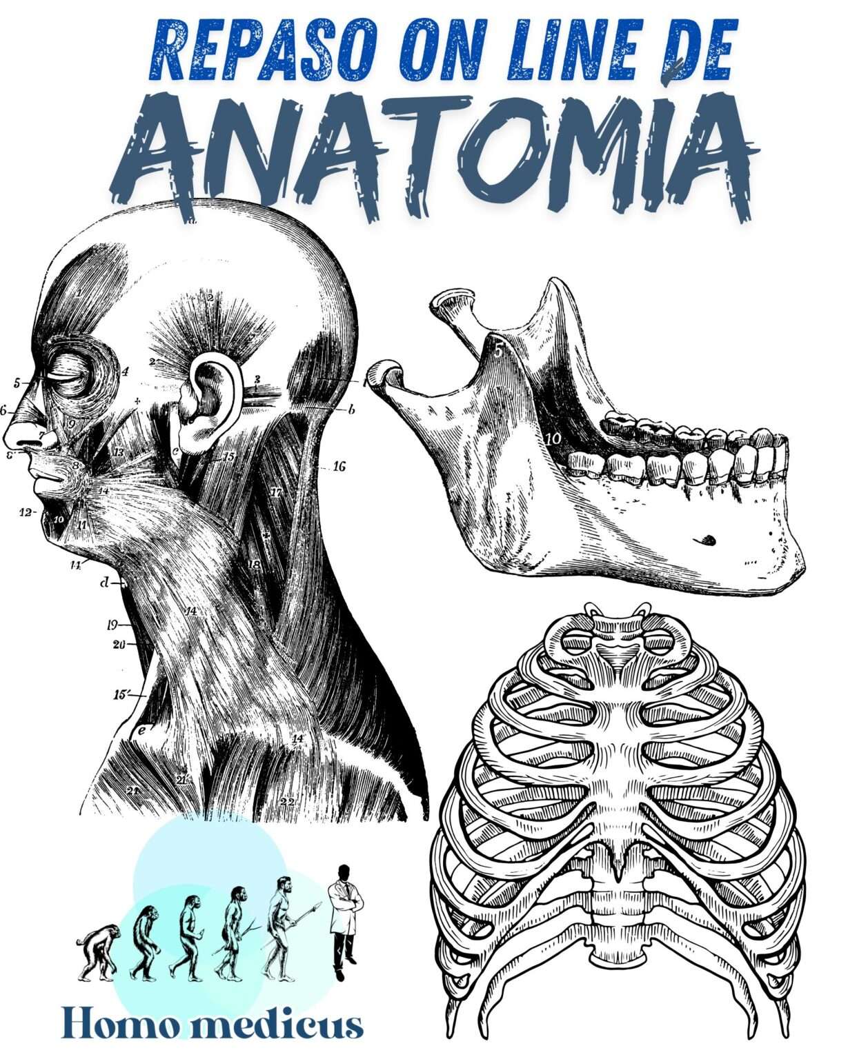 ¿En que consiste la triada de Charcot? – Homo medicus