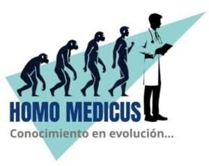 ¿Qué es el prepucio? - Anatomía - Homo medicus